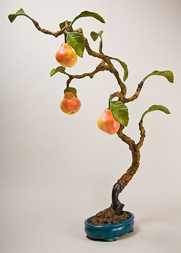 Victor Cicansky - Bonsais